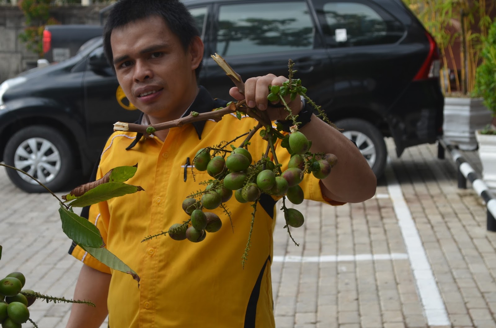 LENGKENG PAPUA YANG MEMPESONA ~ MY EXECUTIVE CHEF