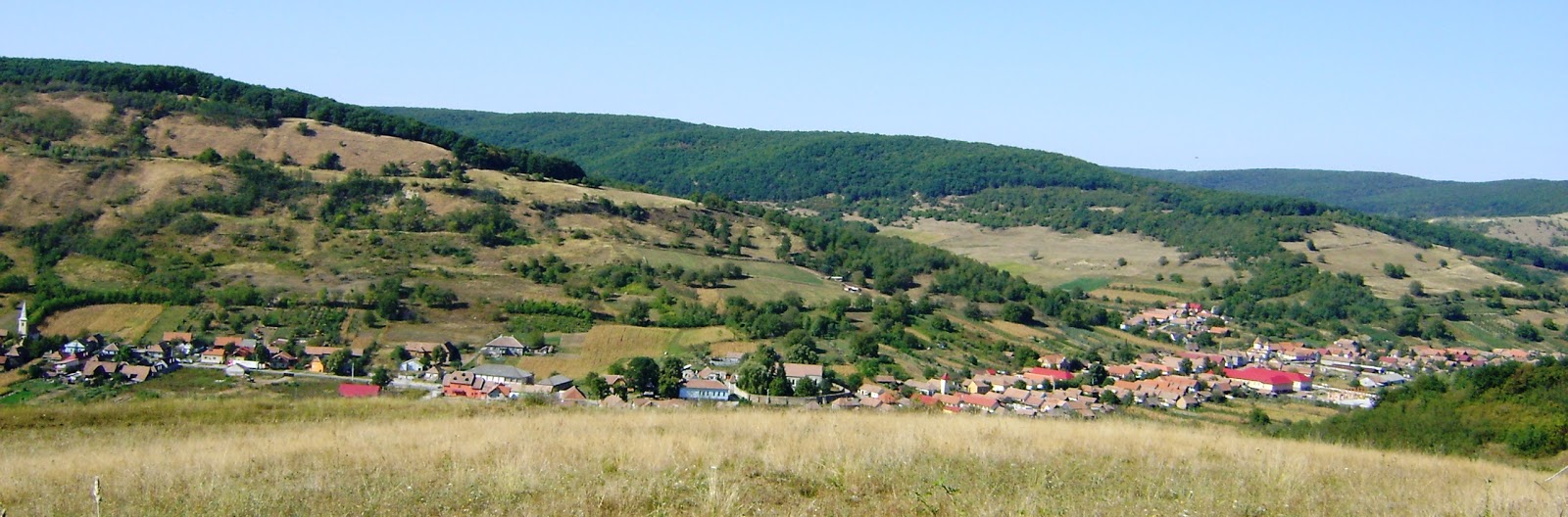 Ştiinţă pentru toţi: Numele comunei Valea Lungă (jud. Alba) de-a lungul ...