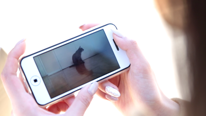 Nibbles, le robot qui nourrit ton chat (ou ton chien) | Le ballet de la ...