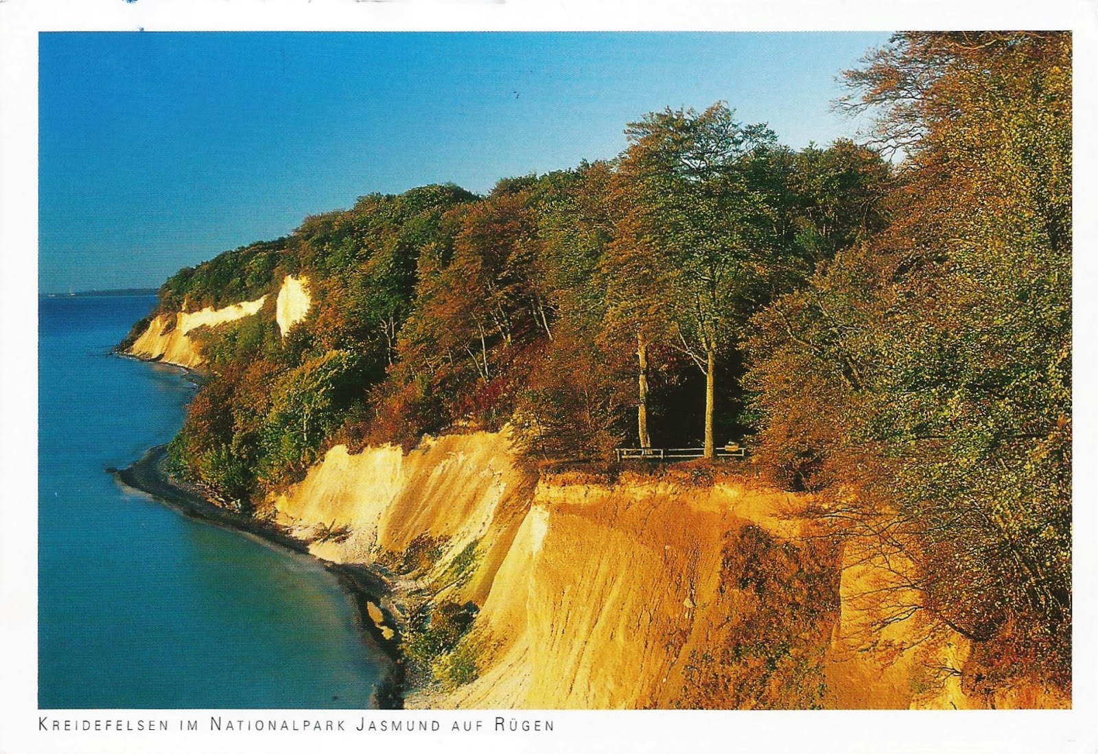 Postcards on My Wall: Primeval Beech Forests of the Carpathians and the ...