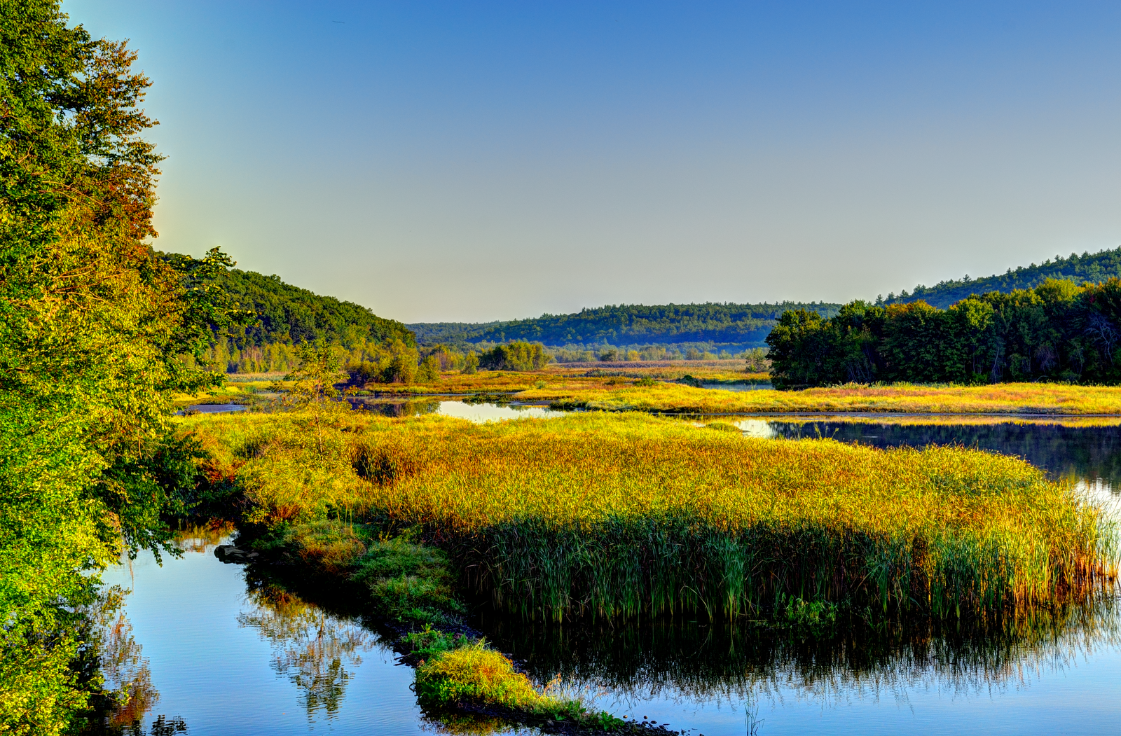 The Future is not Today: The Scenic Calendar for 2013