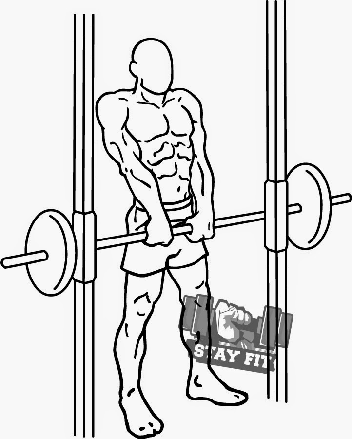 Traps Exercises ~ Stay Fit