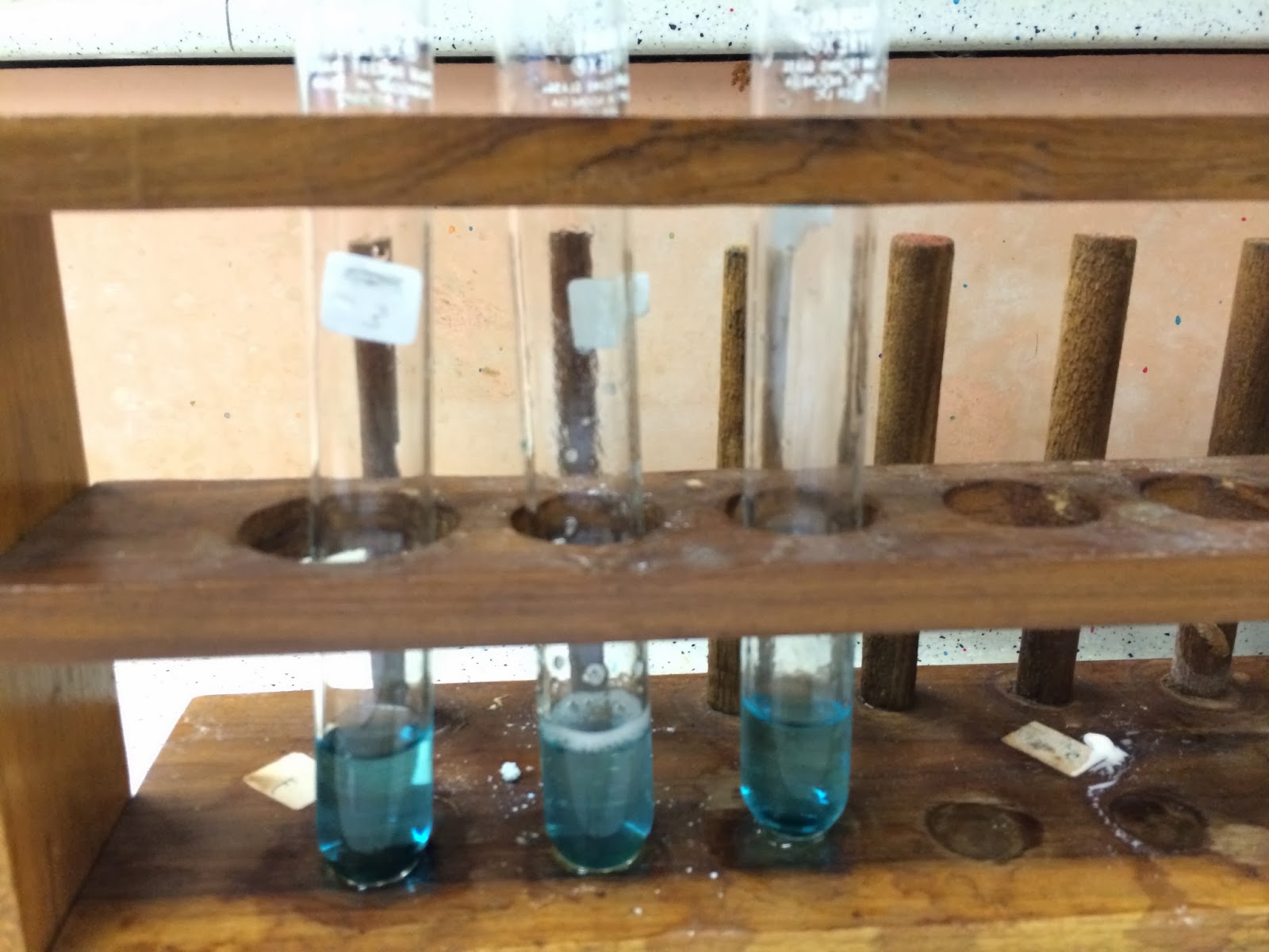 Biology Journal: Biomolecules: Practical 1- Food test