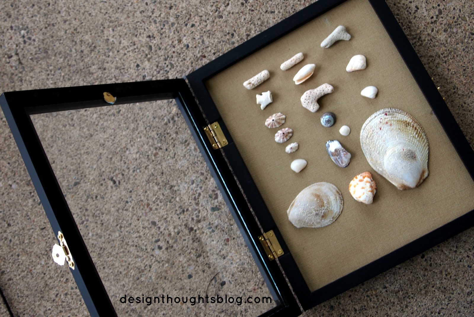 DIY : Vacation Shadow Box {Shells!} - Design Thoughts STUDIO