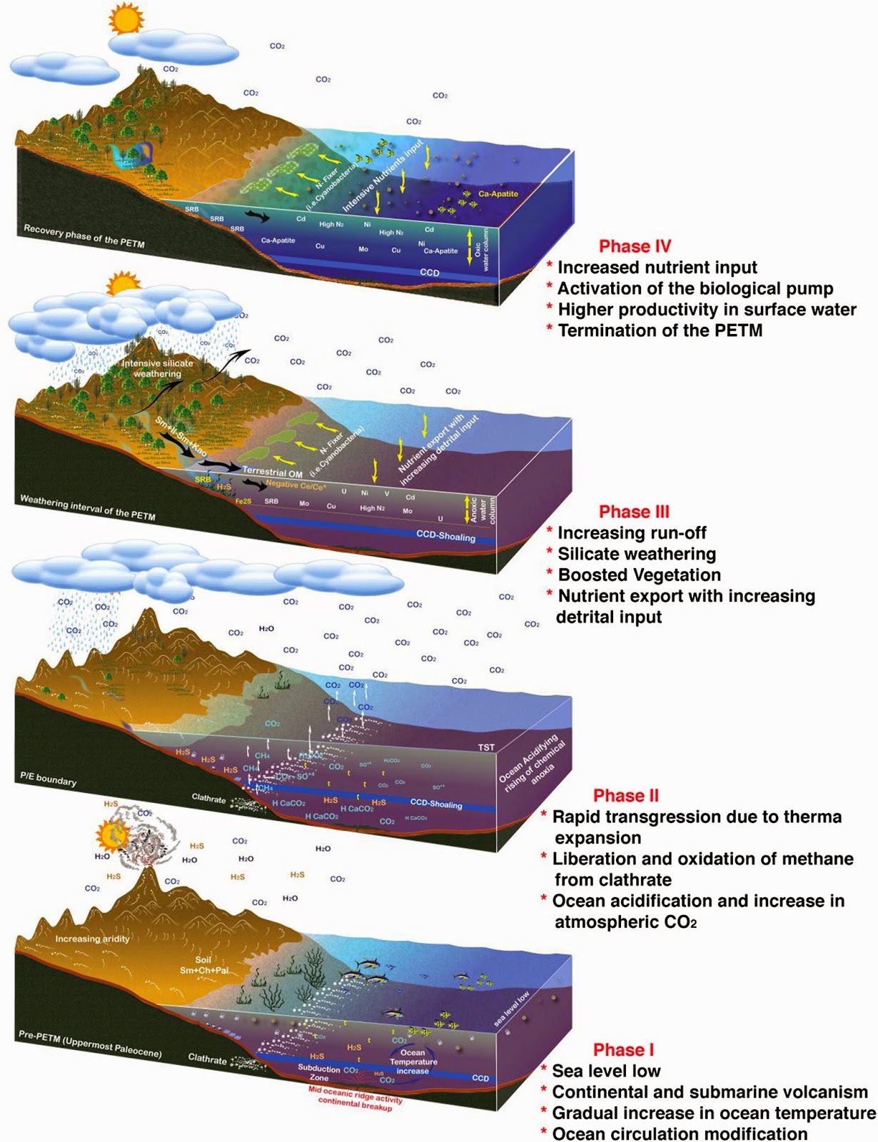 The Dragon's Tales: Four Phases of the Paleocene–Eocene Thermal Maximum ...