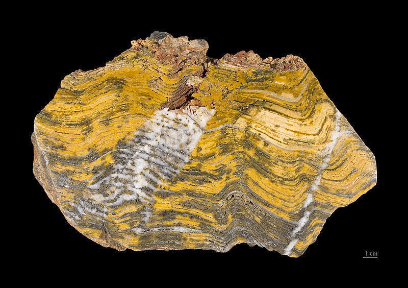 Stromatolite | Geology In