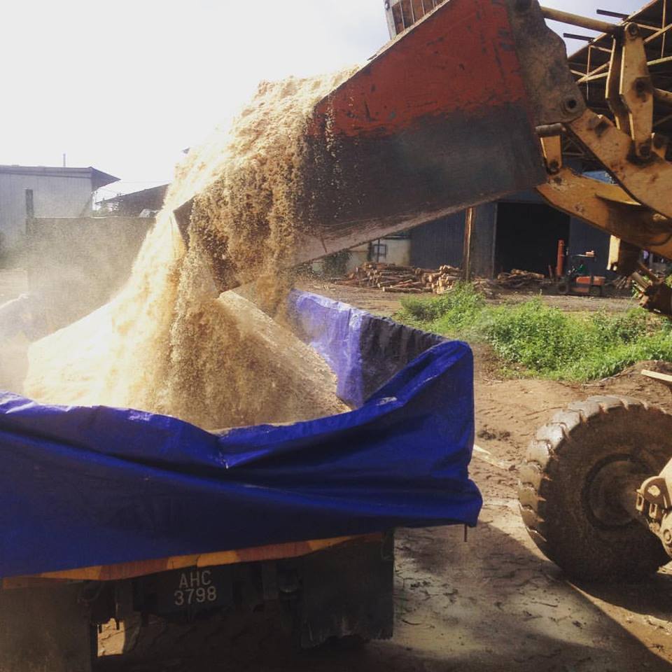 BecHoi's: Habuk Kayu Getah