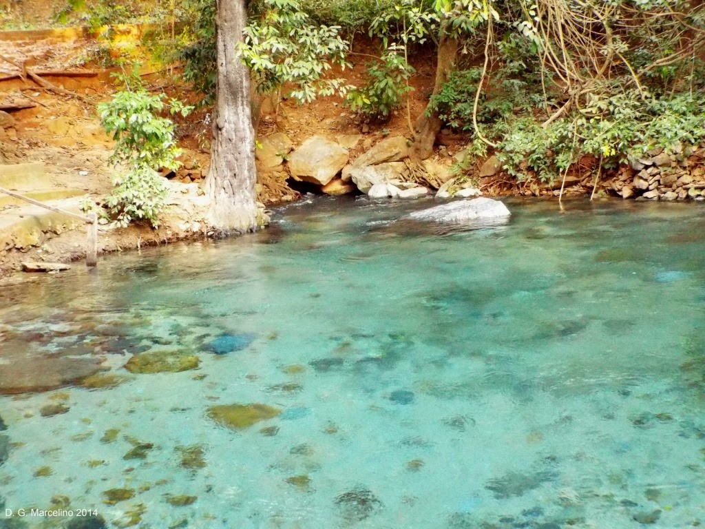 GARISNAT-Garis da Natureza -[planeta harmonia]: fevereiro 2016