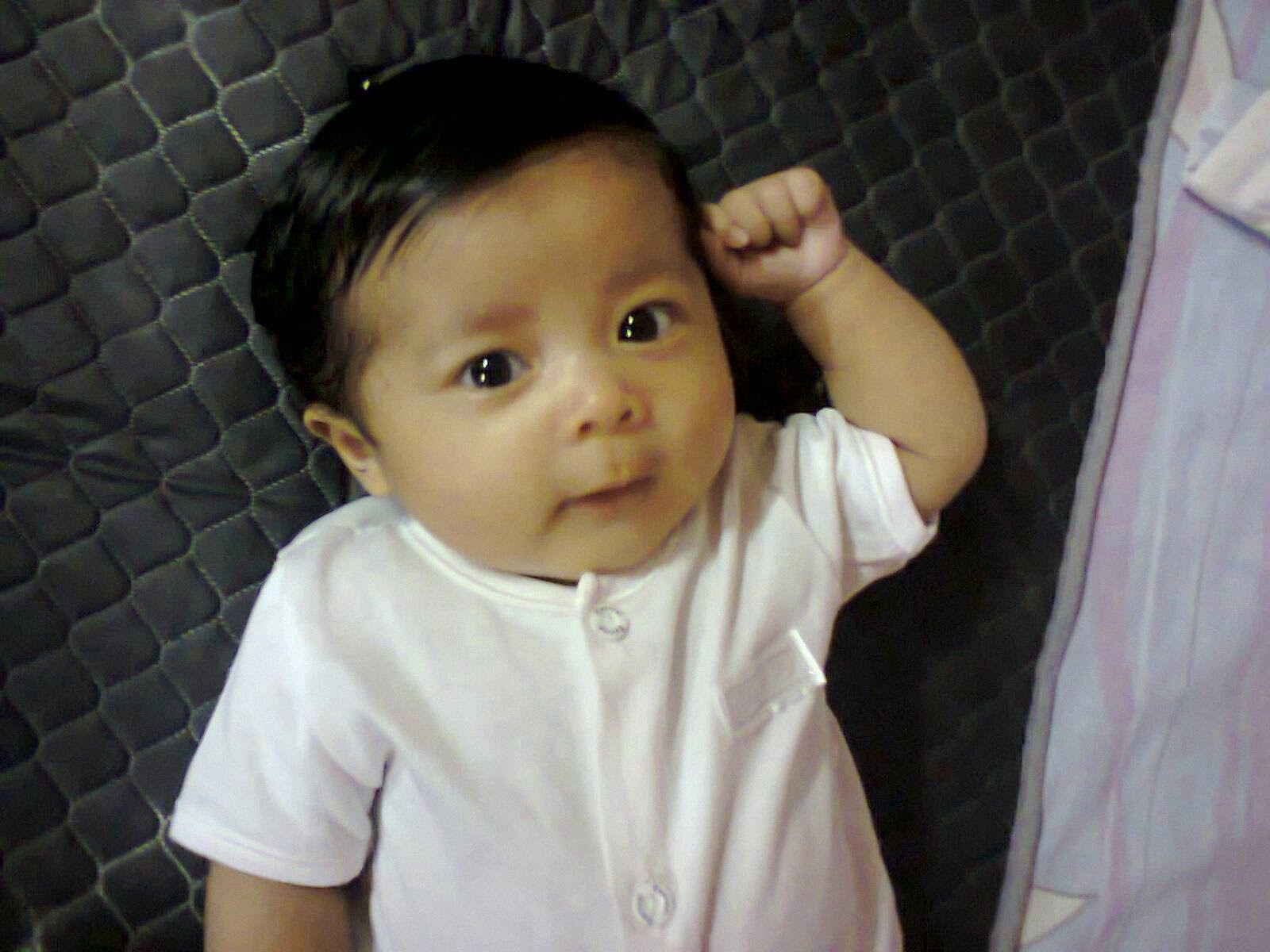 Lynkin Blog Viva Merah