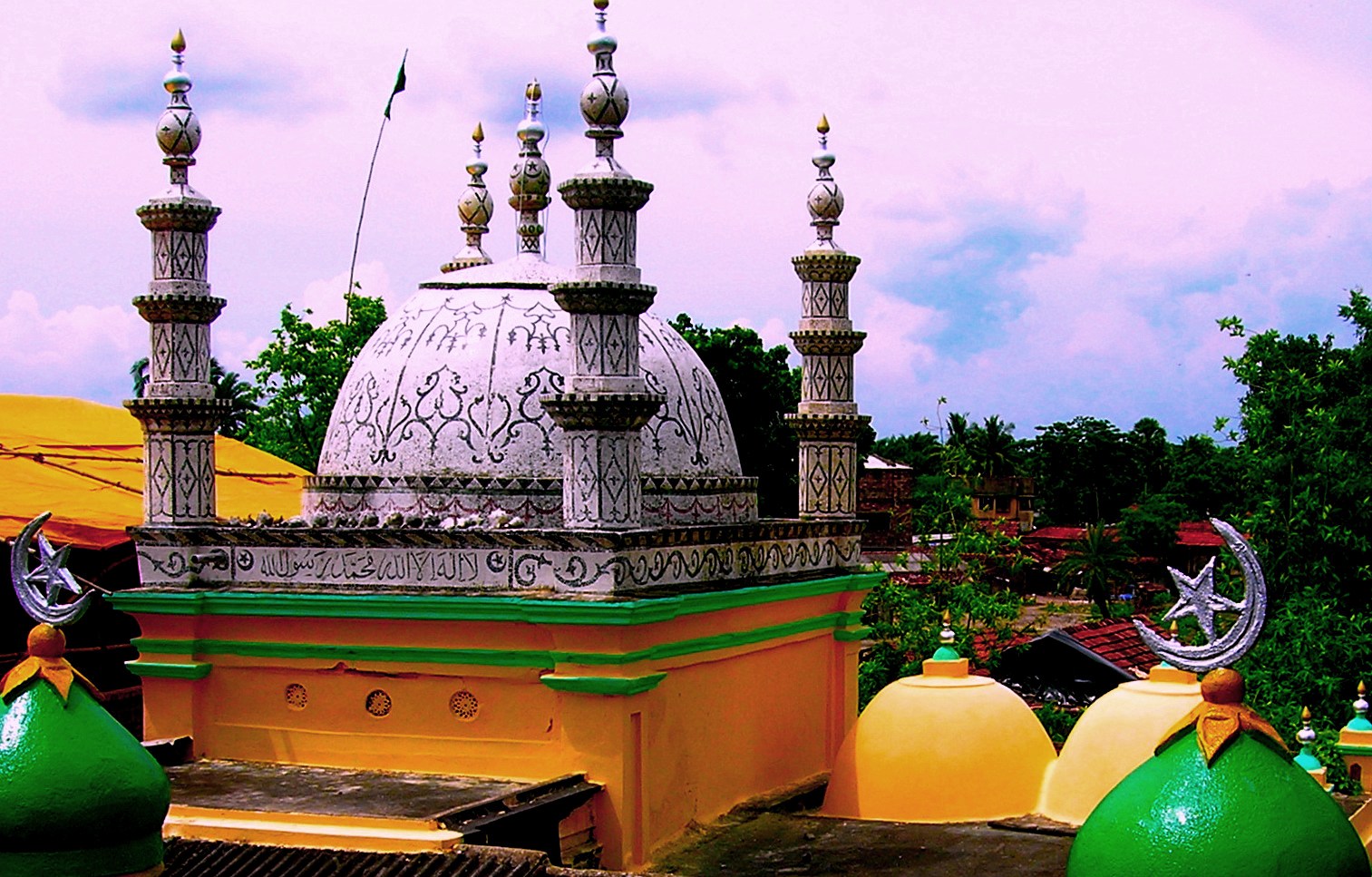 Tiger Tourism Project