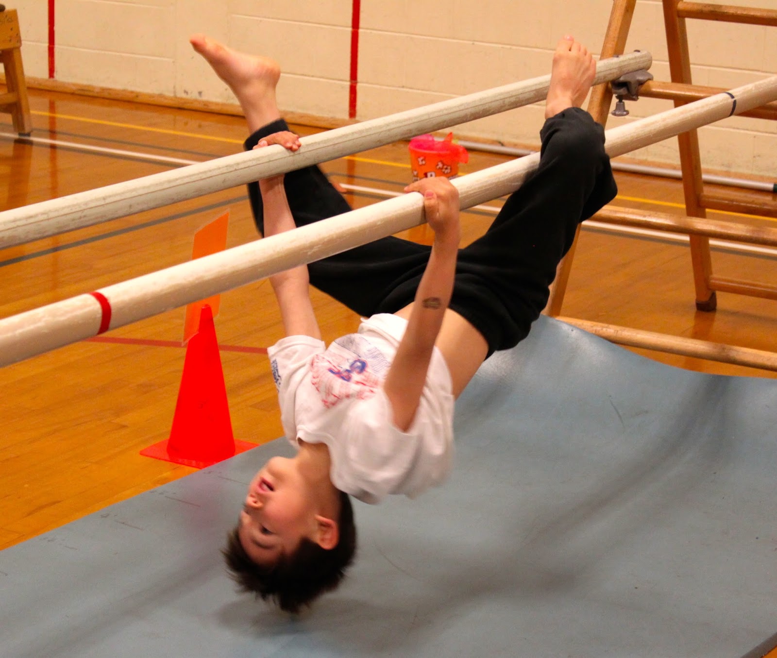 Dr. A. R. Lord Elementary School's PAC Blog: Gymnastics Week