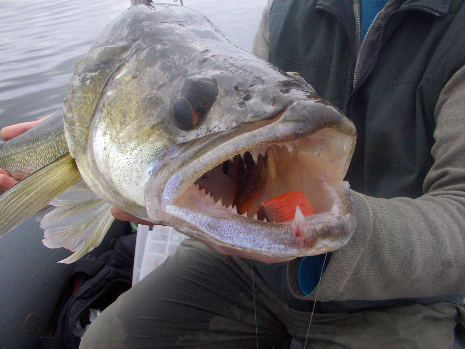 giliai: EŽERO STARKIO PASLAPTIS