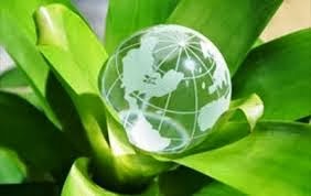 Desarrollo Sustentable: Unidad 5.- El escenario modificado