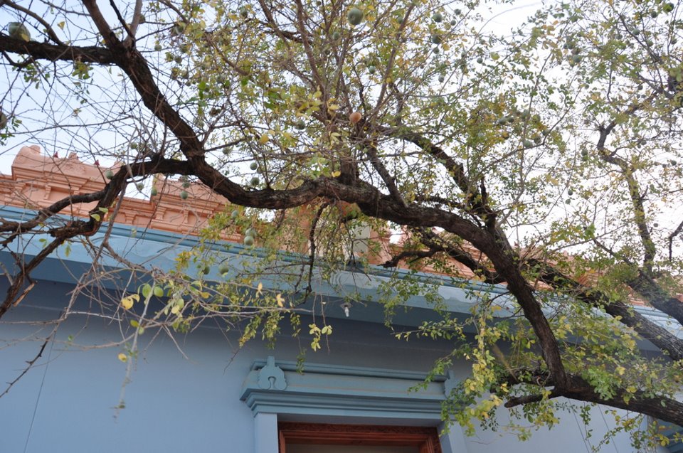 Tamilnadu Tourism: Saibaba Temple, Devakottai, Sivaganga