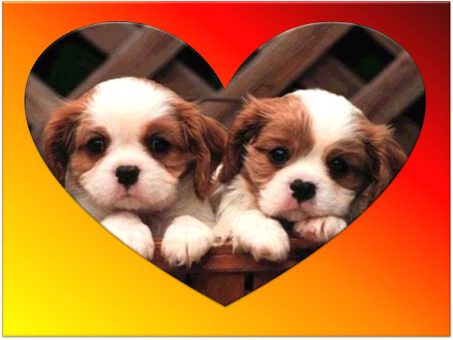 Imagenes de perros con corazones - Imagui
