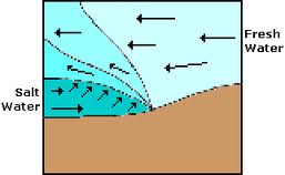 miriam magdaleno Earth Science : mechanical and chemical weathering