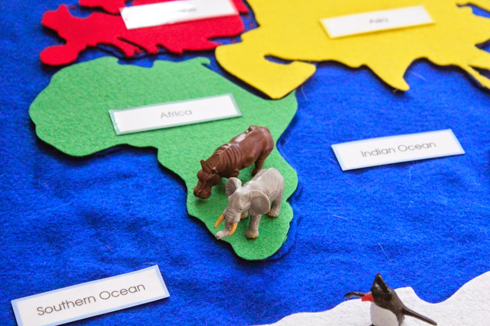 Montessori Geography Trays