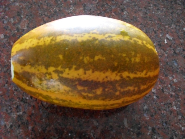 Mangalooru Southekai Tovvae - Field Marrow And Dal Stew