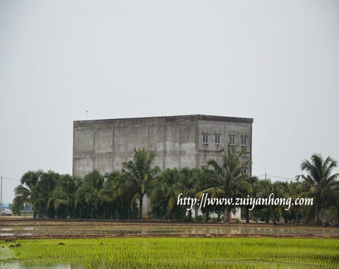 Sweet Memories Of ZuiYanHong: Sekinchan Swiftlet Breeding