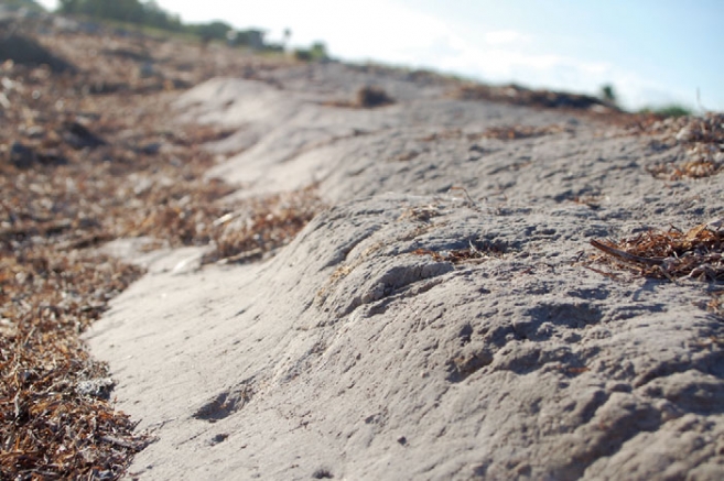 Civil Engineering: Types of Soil