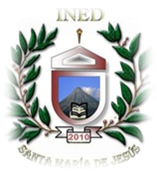 la creación de INEB-INED