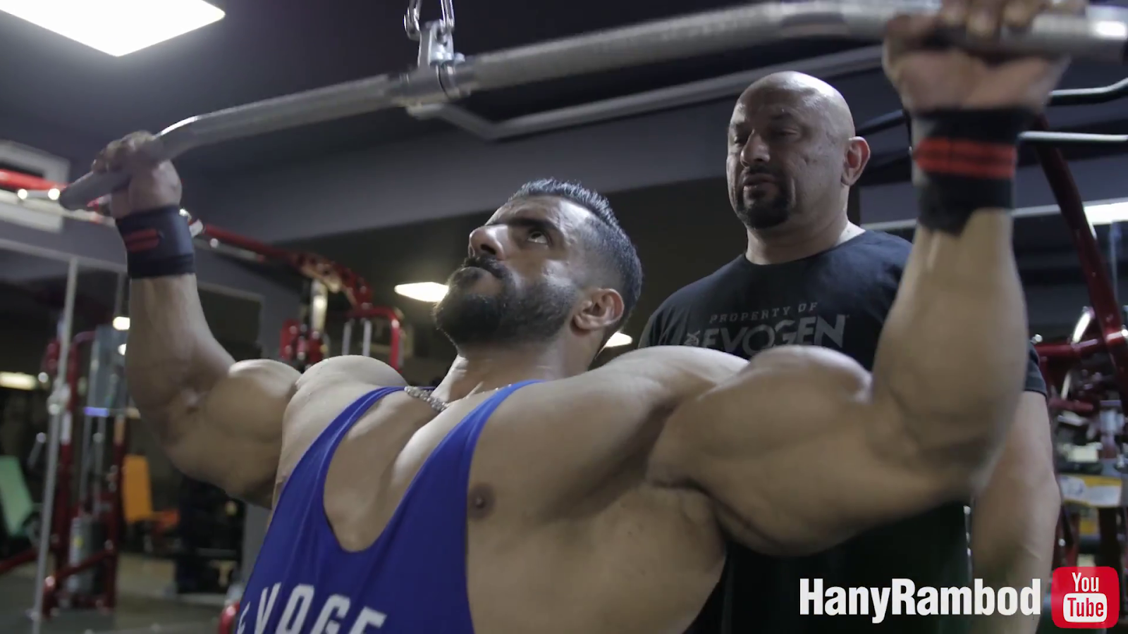 Muscle Lover: Hadi Choopan