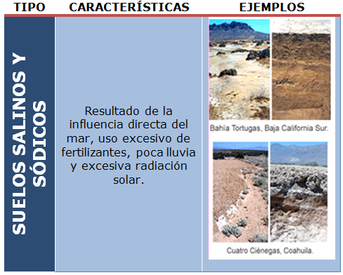 Factores Geográficos, Geológicos y Biogeográficos que afectan la ...