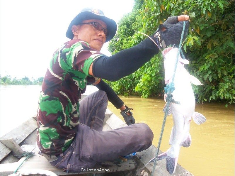 Cara Membuat Umpan Mancing Ikan Patin