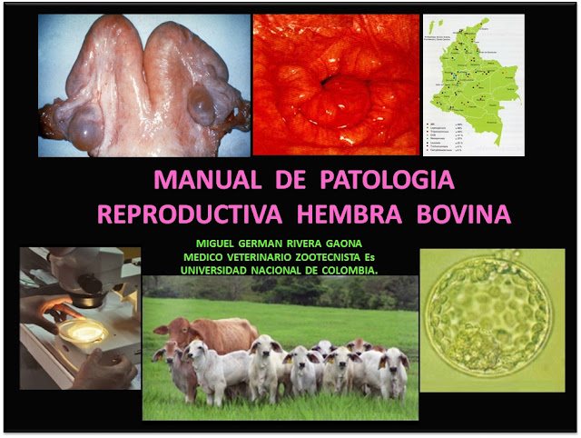 MANUAL DE PATOLOGIA REPRODUCTIVA HEMBRA BOVINA: INTRODUCCION