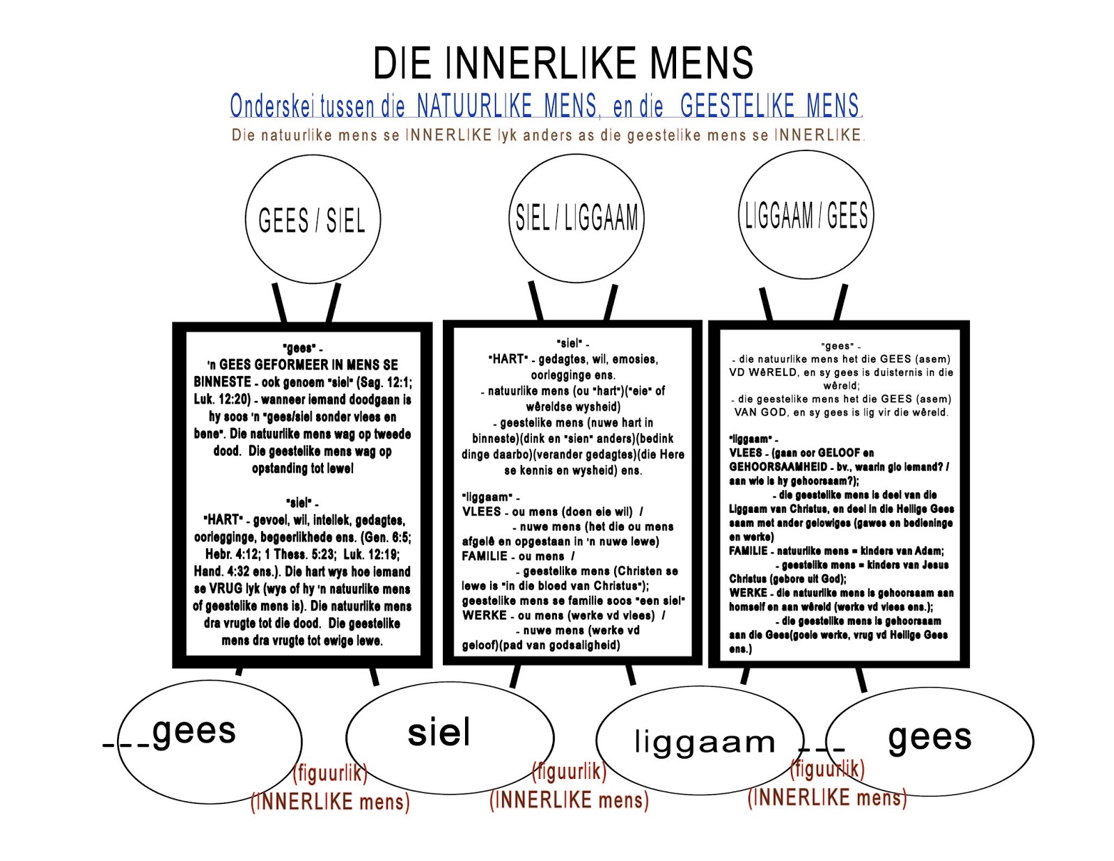 Ware Christene: Natuurlike mens / Geestelike mens