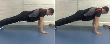 Fitness Excellence Athletic Training (FEAT): Serratus Anterior