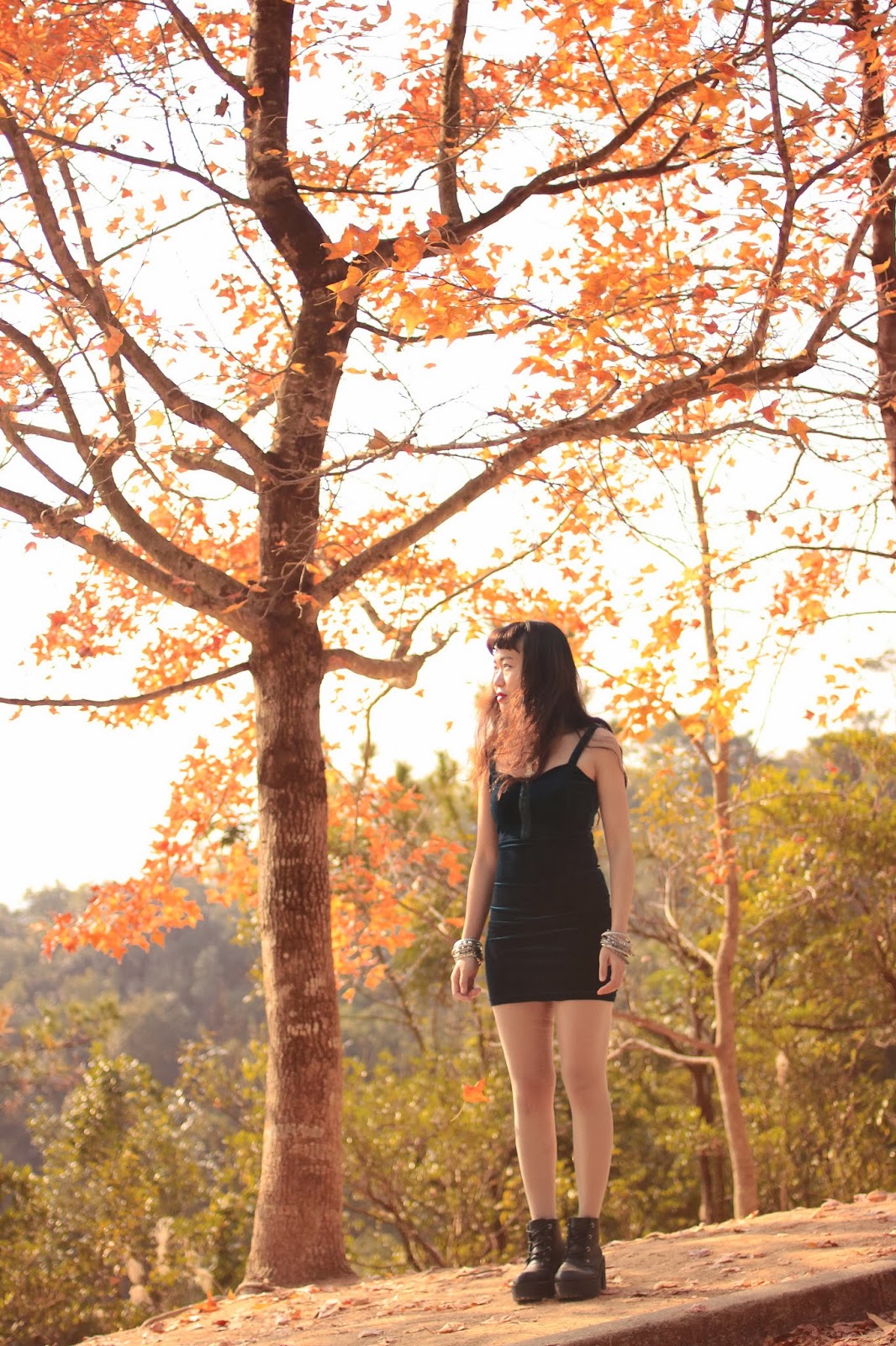 ♥ icekillsyou ♥: LOVE under the MAPLE TREE