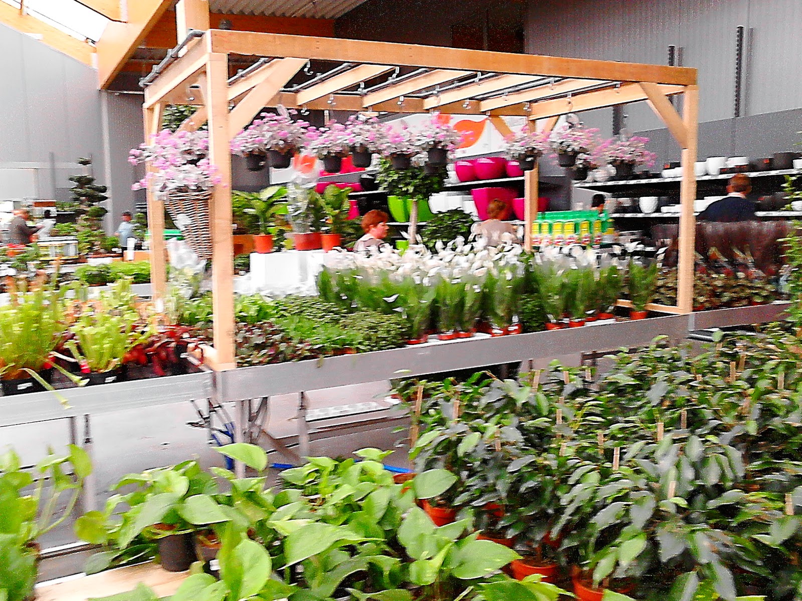 paradis express: Famiflora