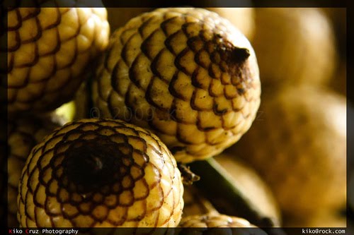 all best of philippines: Tropi Fruity: Littuko, Paho & Mansanitas