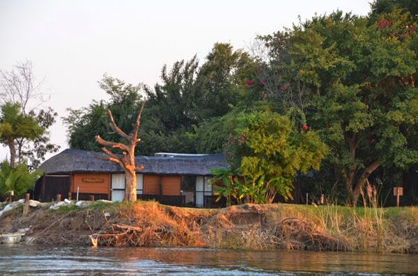 News from Southern Africa & Namibia: Namibia: update from Kalizo Lodge ...