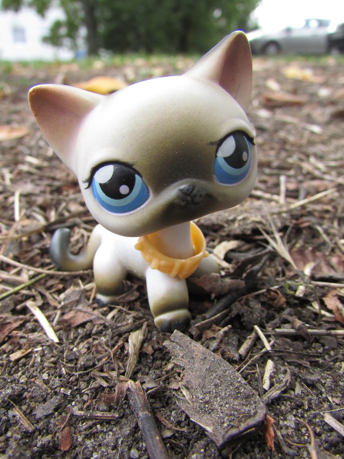 Mój świat LPS: 134. LPS: Jesienna sesja