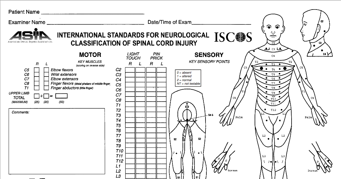 Liga Paraibana de Neurointensivismo: Avaliação neurológica do paciente ...