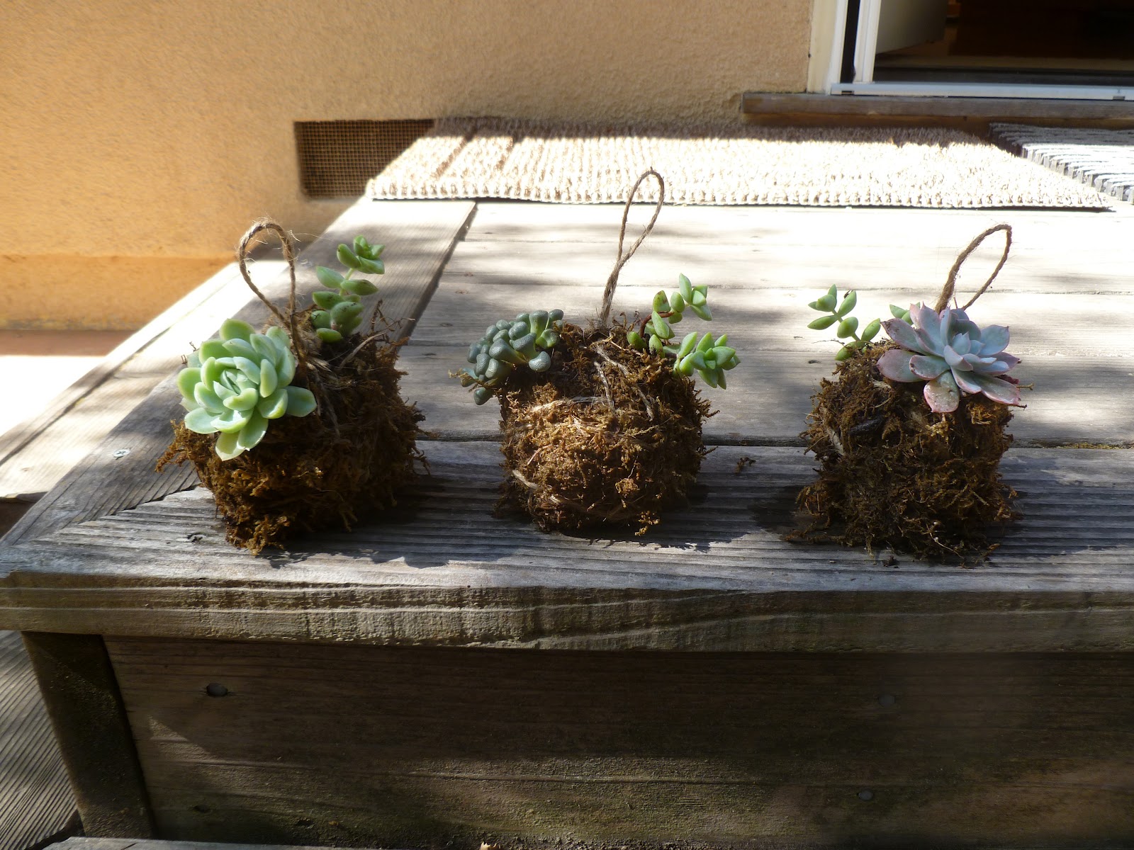 My Next Mess: Kokedame (Japanese String Garden)