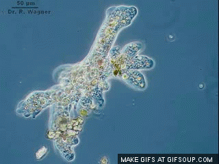 LA BIOLOGÍA EN EL CINE Y LAS ARTES: octubre 2018