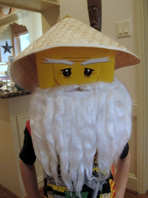Ninjago Sensei Wu Costume
