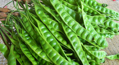 Buah Kerdas Atau Juga Dikenali Sebagai Buah Geduak | Khazanah Asia