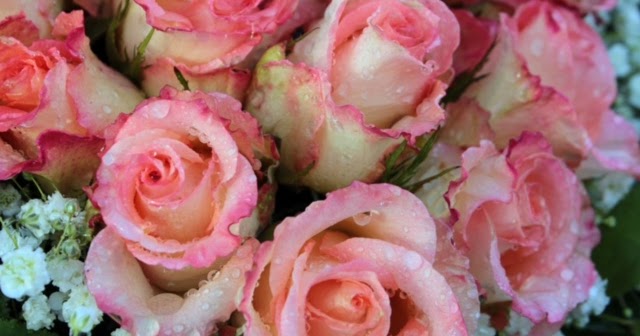 Be Prepared To Bless: (June) Brides and Flowers