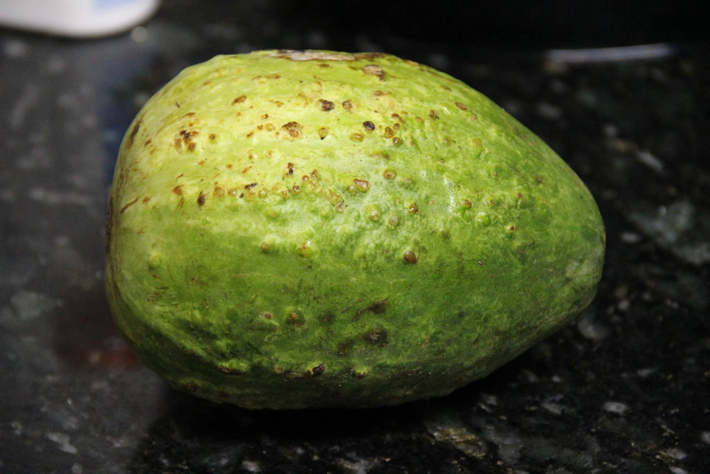 Nutricionista Lícia Vendruscolo: CAXI - Legume