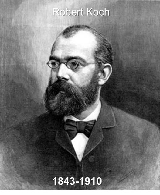 POSTULAT KOCH - SALMAN TASK