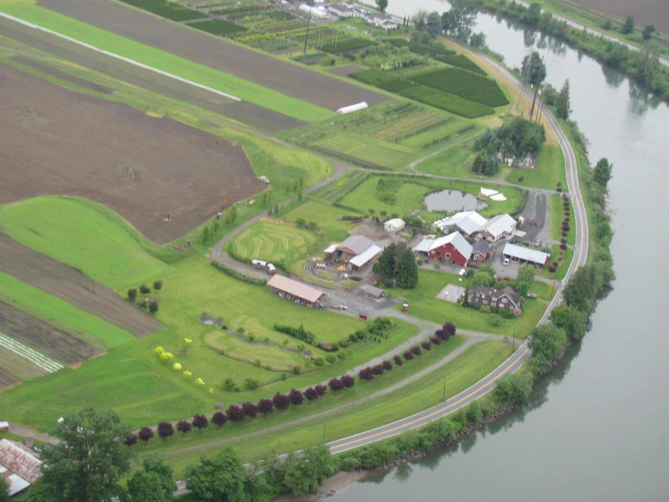 BLOGoTRICK: The Farm at Swans Trail