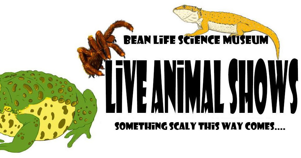 Bean Blog: Live Animal Shows