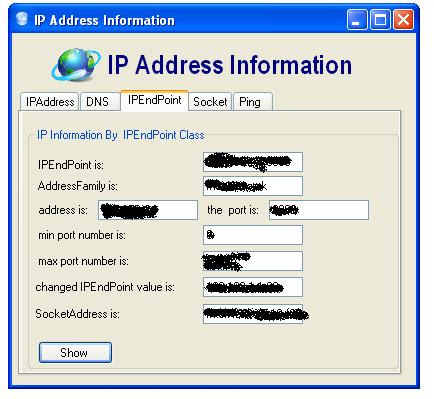 Download IP Related Information Checker Project C# ~ Programming Exercises
