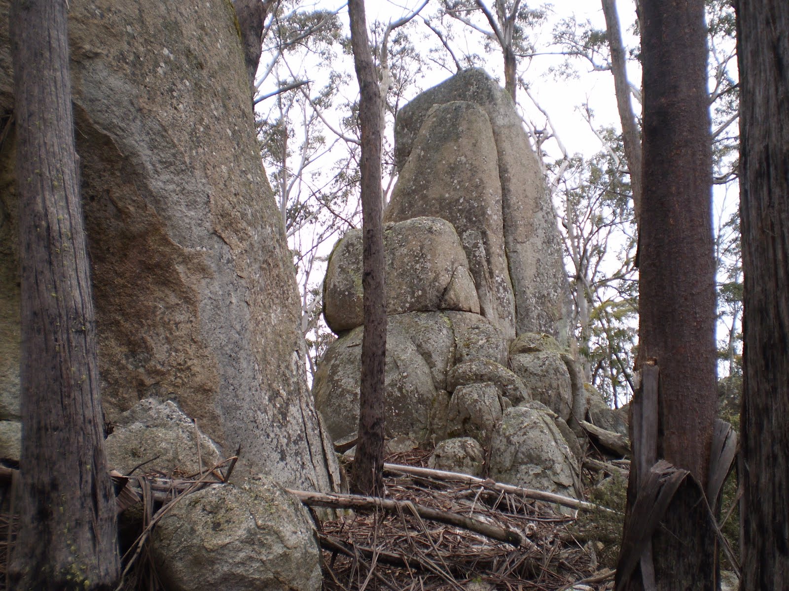 Phil's Bushwalking Blog: Tidbinbilla Nature Reserve: Billy Billy Rocks ...