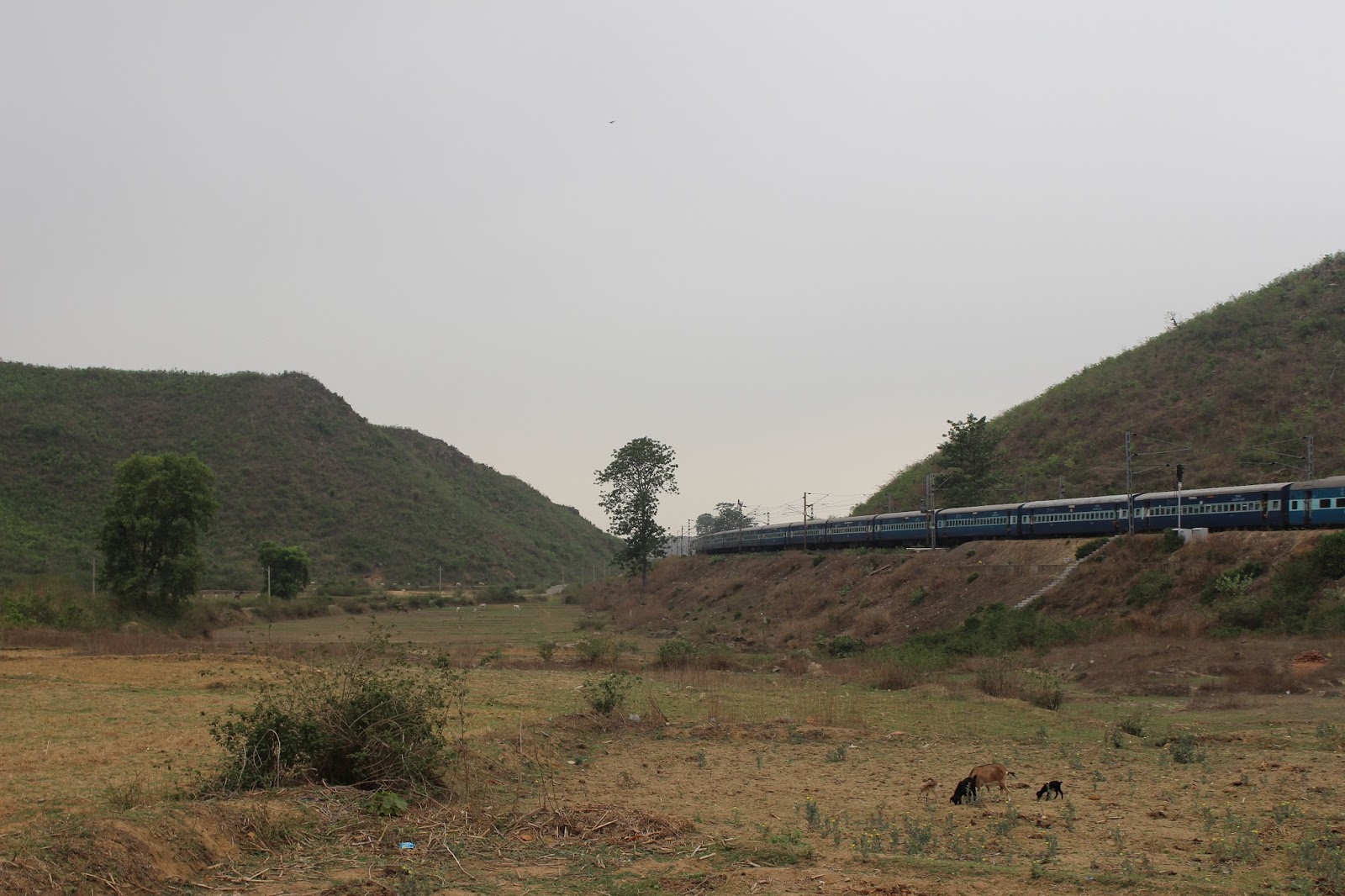Swami Vivekanand College & Hospital, Simultala