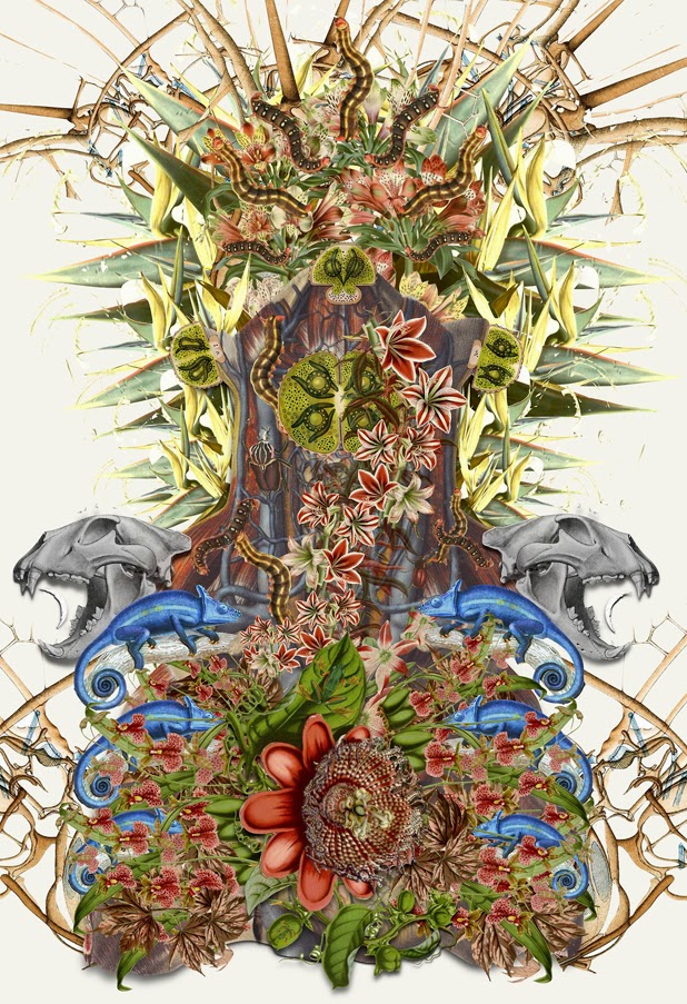 I need a guide: travis bedel # update